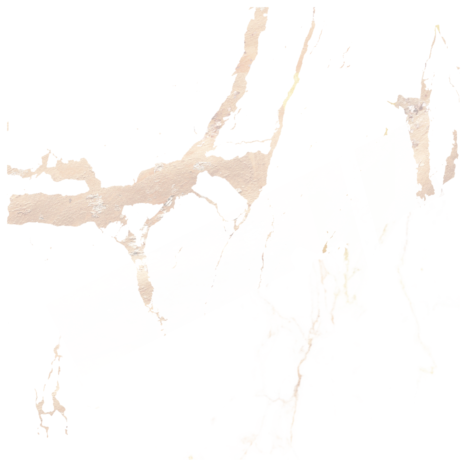 LEEF Restaurant - De nieuwe hotspot in Delft!